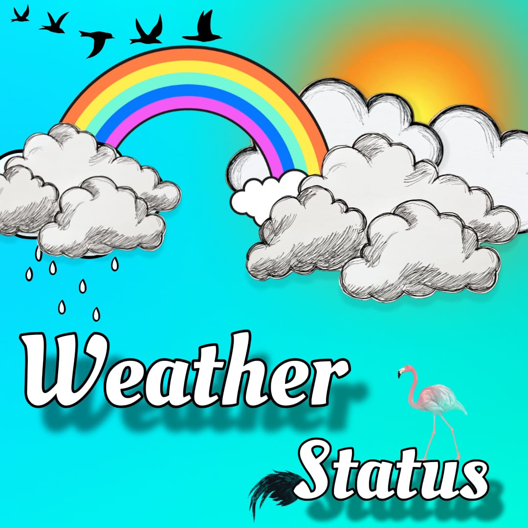 Neon Portfolio Projects